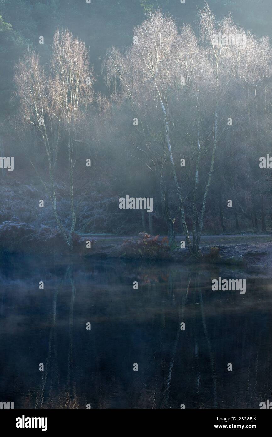 Autumn in Fair Oak valley showing one of the three major forest pools ...
