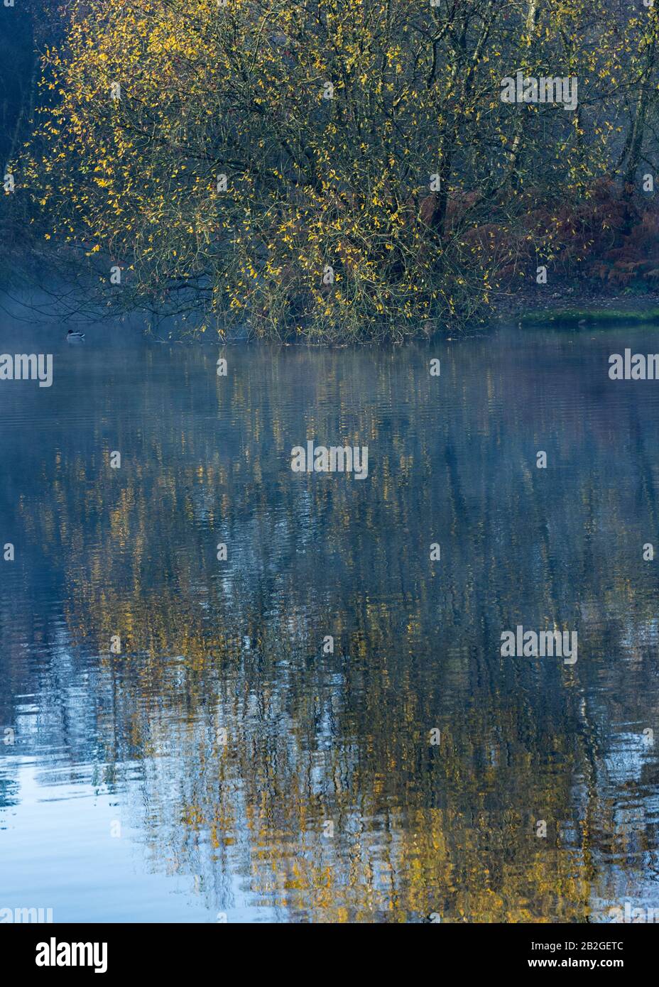 Autumn in Fair Oak valley showing one of the three major forest pools ...