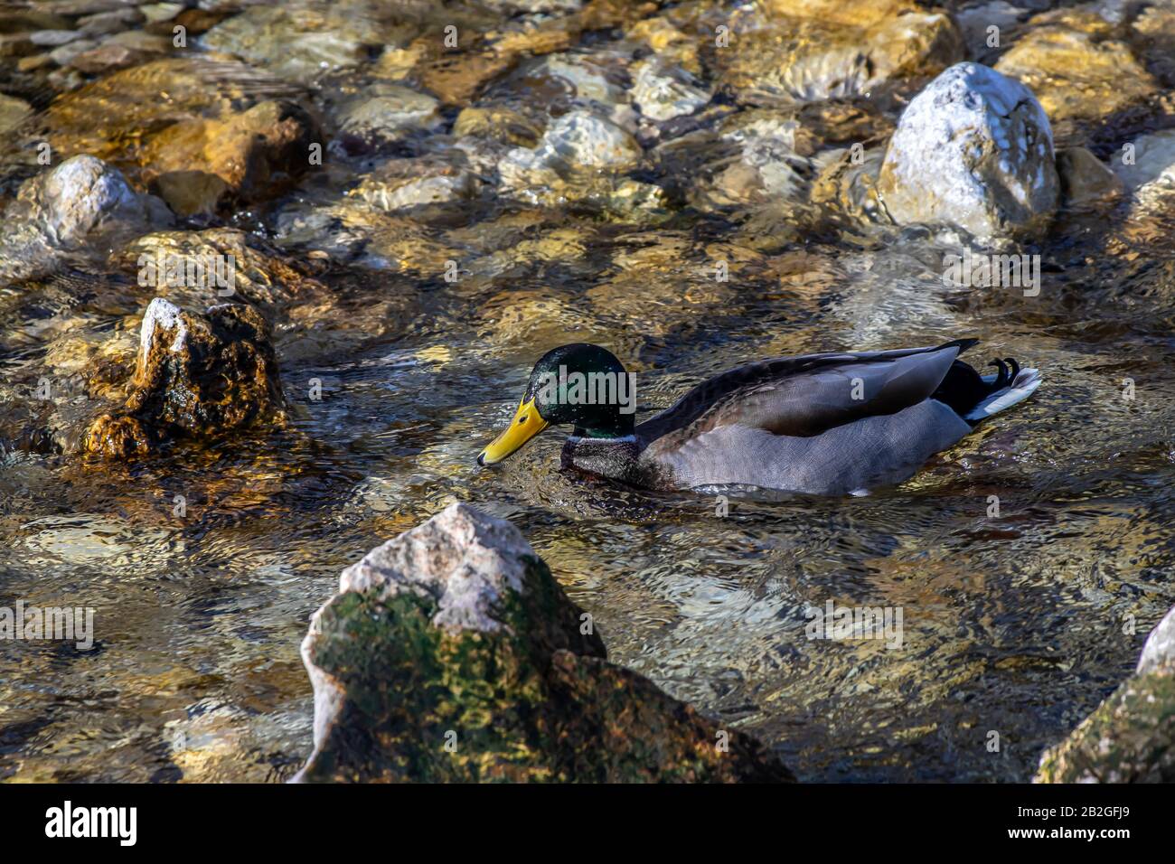 Moving river water rocks pond hi-res stock photography and images - Alamy
