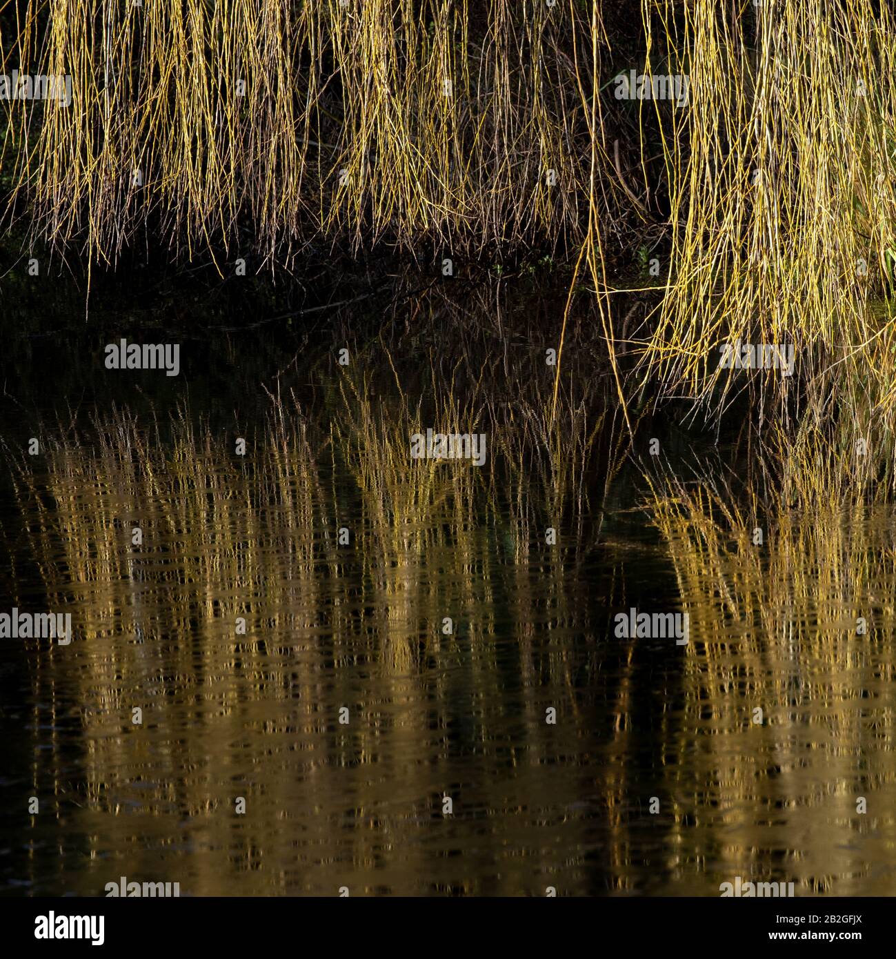 Photograph Shropshire and Worcester canal a British Waterways canal ...