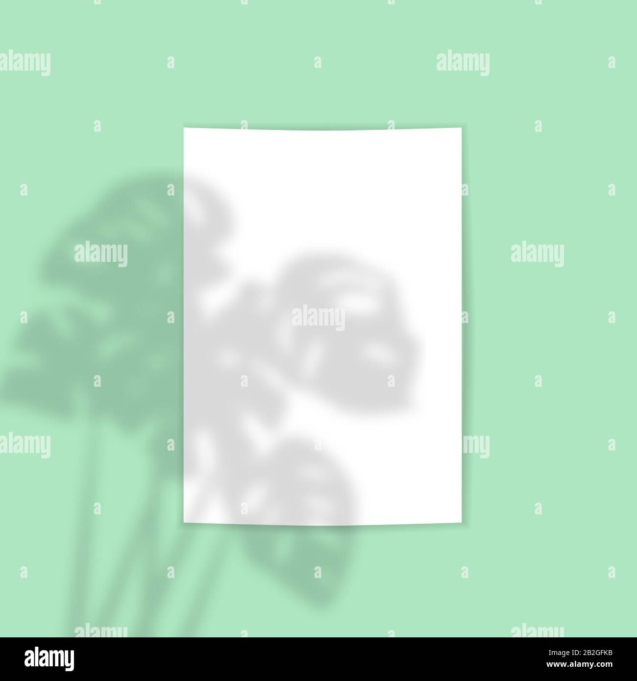 Card template with tropical plants monstera shadow overlay effect ...