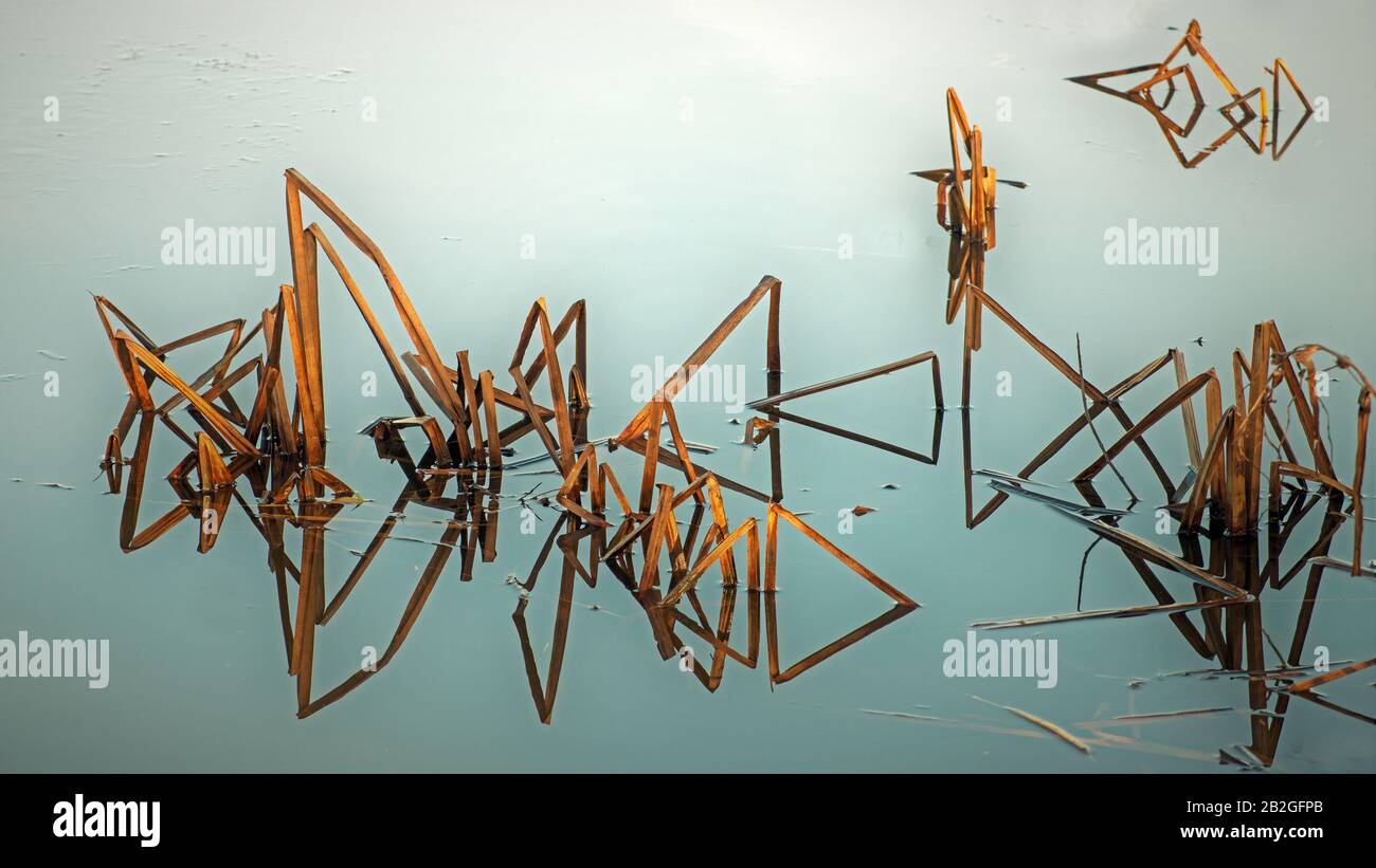 Light bronze colour hi-res stock photography and images - Alamy