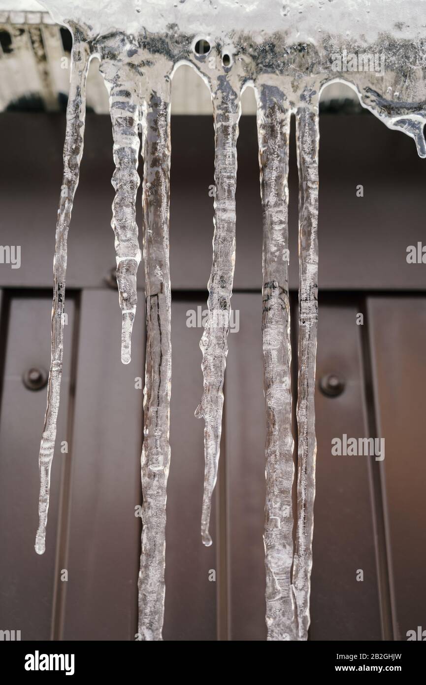 Seasons shiny hi-res stock photography and images - Alamy