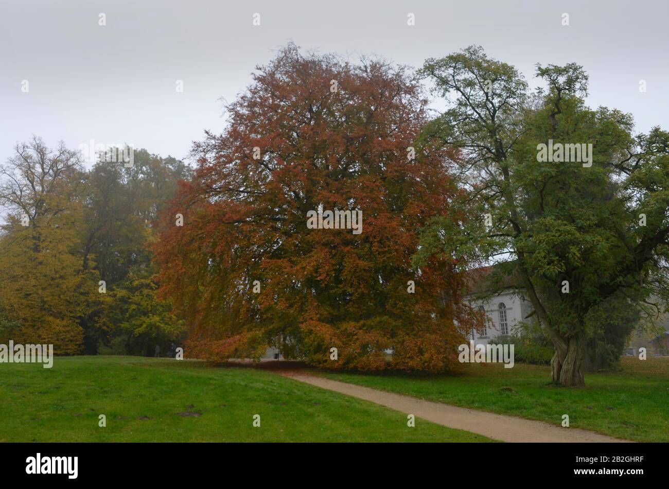 Schlosspark putbus hi-res stock photography and images - Alamy