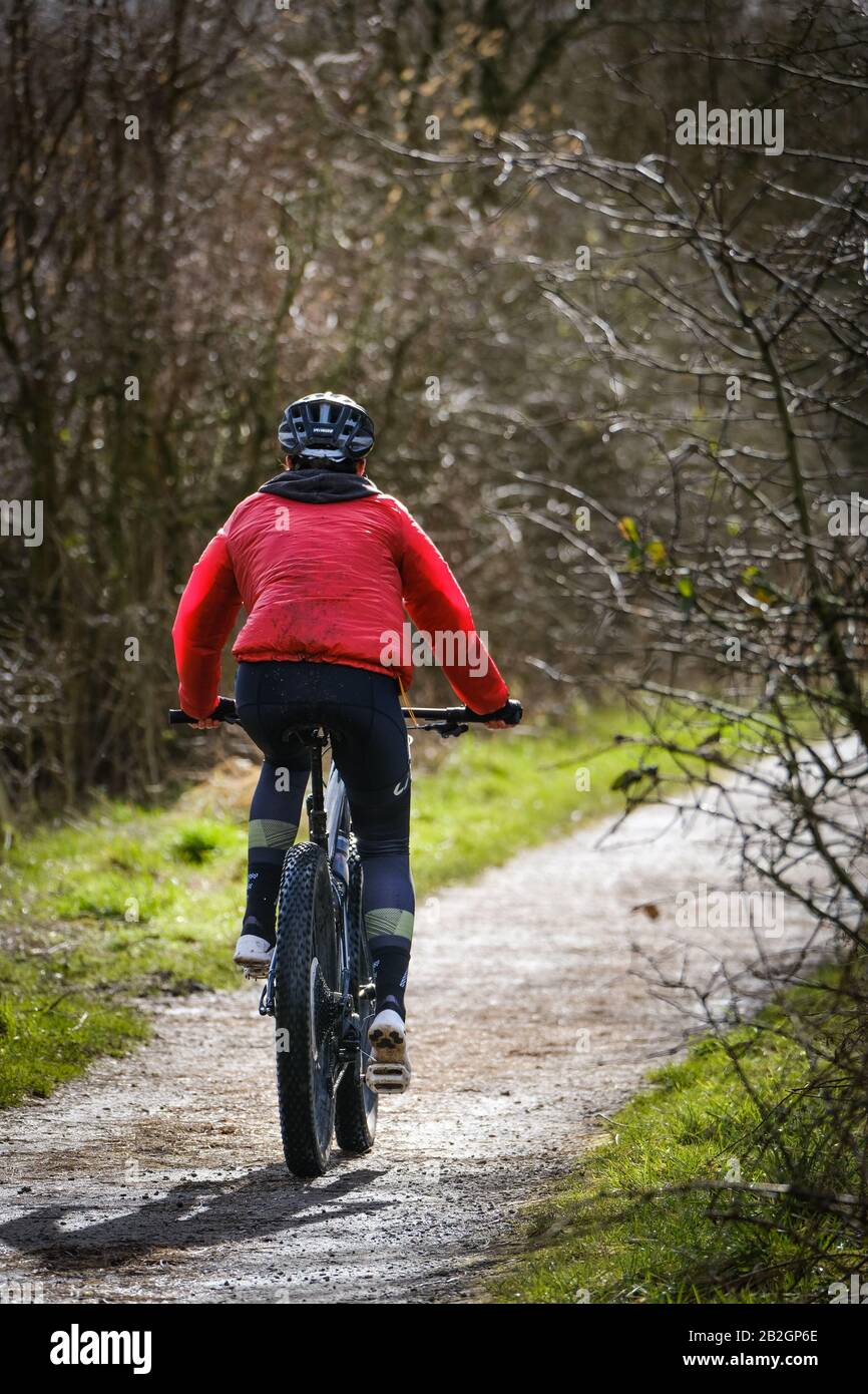 Guild wheel hi-res stock photography and images - Alamy