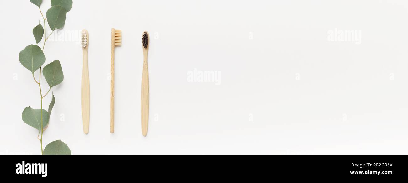 Toothbrush tree hi-res stock photography and images - Alamy