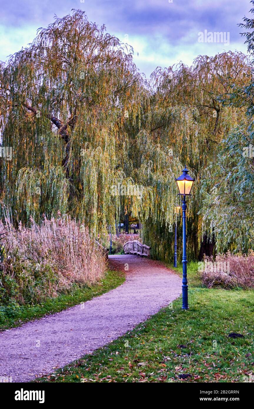 Wooden bridge willow tree hi-res stock photography and images - Alamy