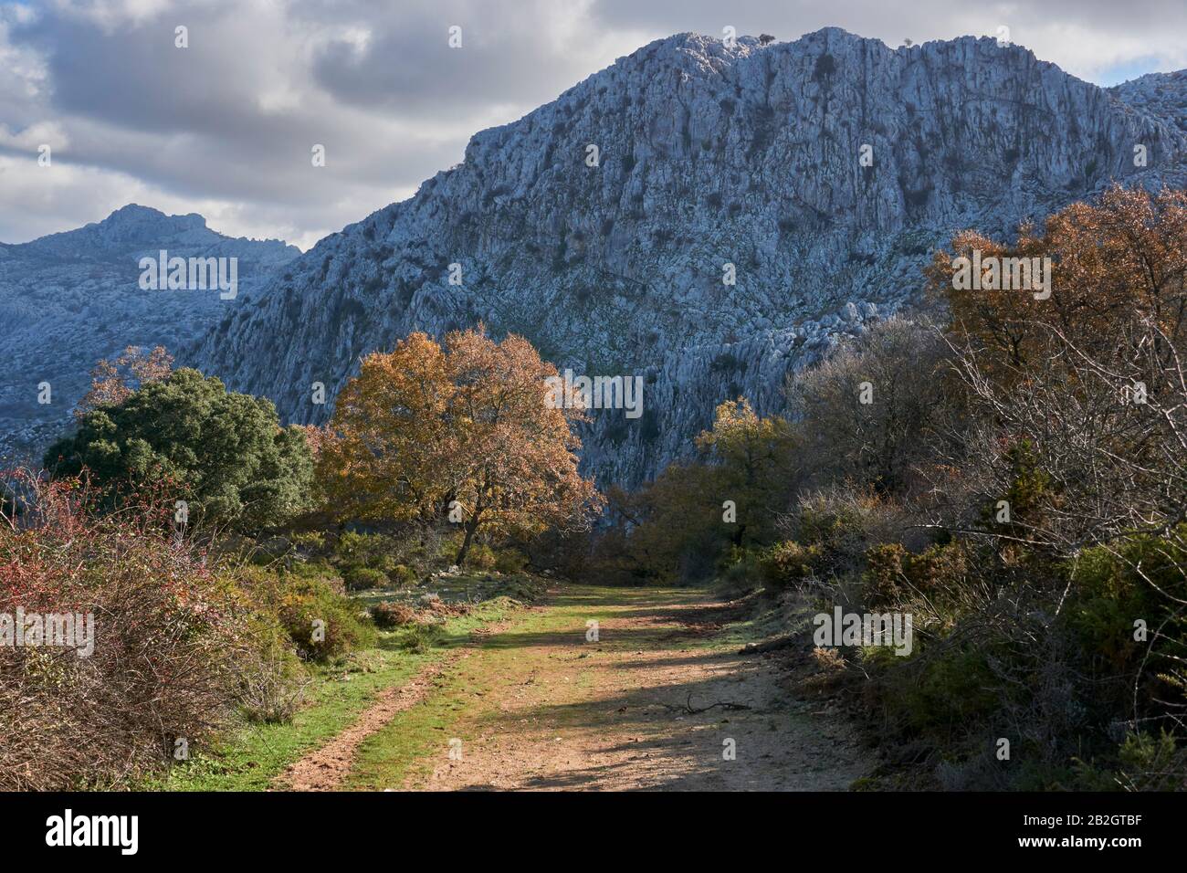 Hiking areas in the mountains of Malaga. Andalusia, Spain Stock Photo ...