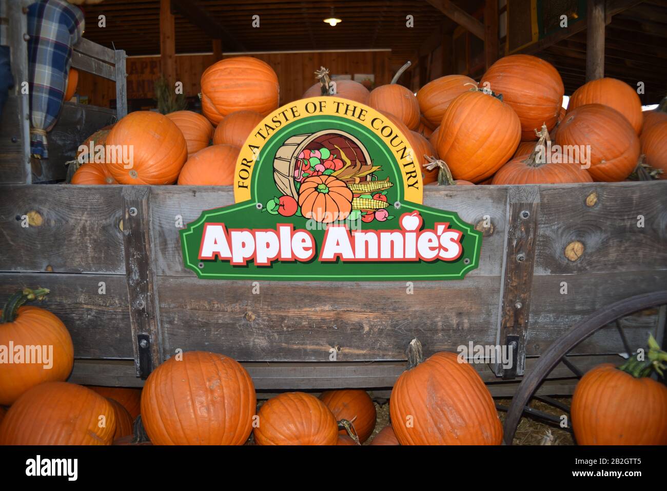 Wilcox, AZ. U.S.A. Oct. 12, 2019. Apple Annie’s U-Pick Produce-food ...