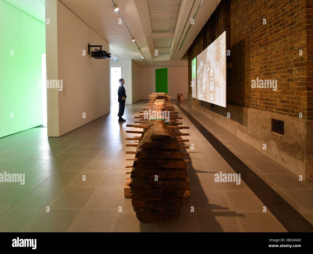 Giant oak quercus boules hi-res stock photography and images - Alamy
