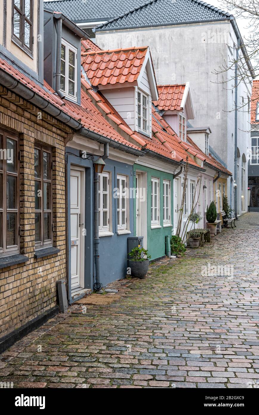 Pretty, colourful cottages in Aalborg, Denmark, on a snowy, winters day ...