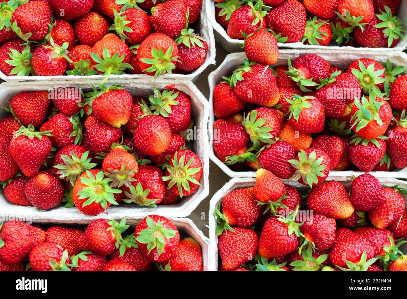 Strawberry distribution hi-res stock photography and images - Alamy
