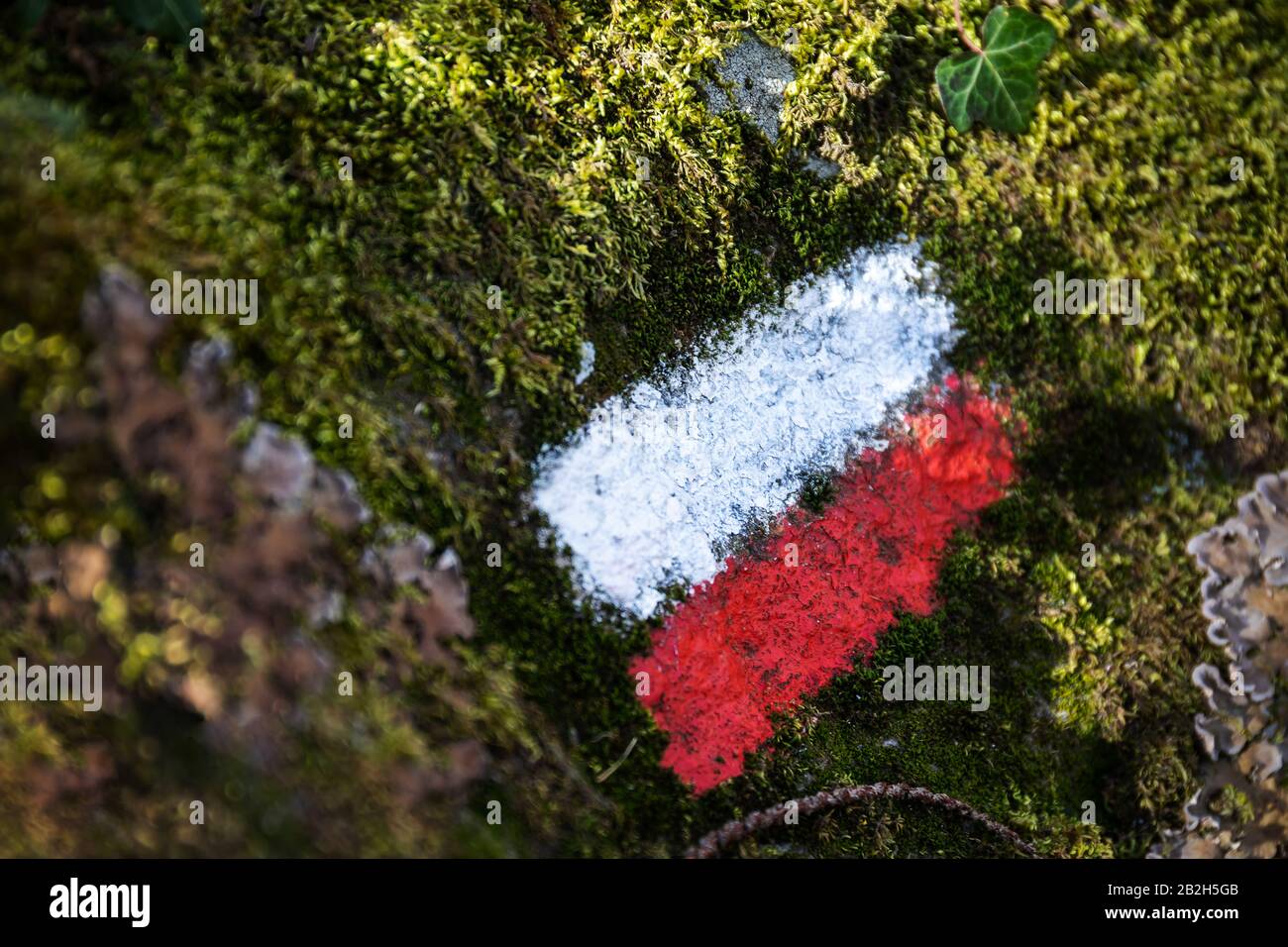 Sign of the forest path, handmade with white and red paint on the rock ...