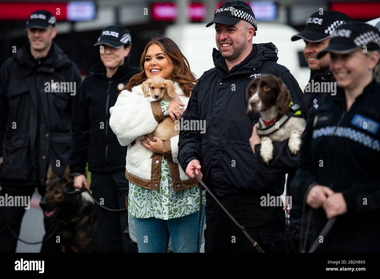 Police dog unit hi-res stock photography and images - Alamy