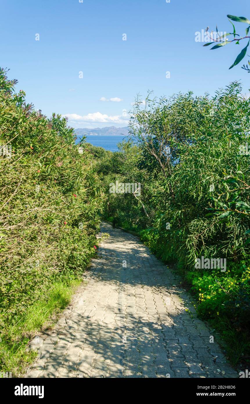 Walking path with trees and sky Stock Photo - Alamy