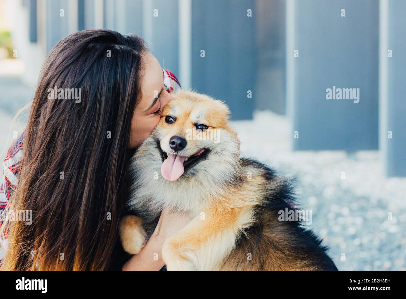 Woman kissing dog hi-res stock photography and images - Alamy