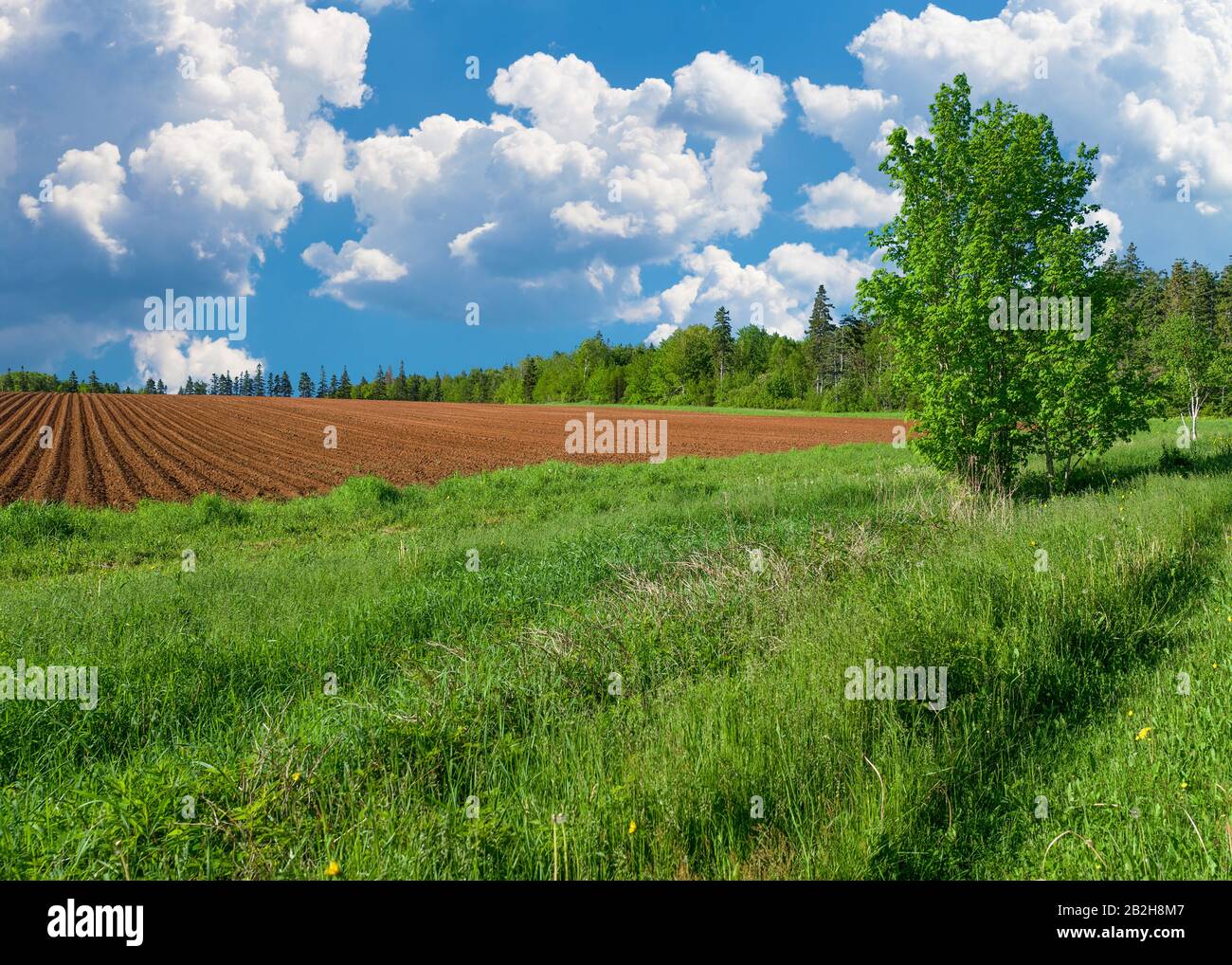 Newly planted farm fields hi-res stock photography and images - Alamy