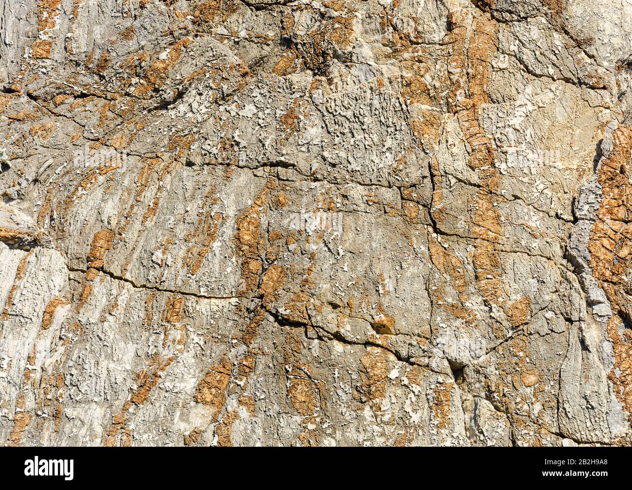 Cross section of rock Stock Photo - Alamy