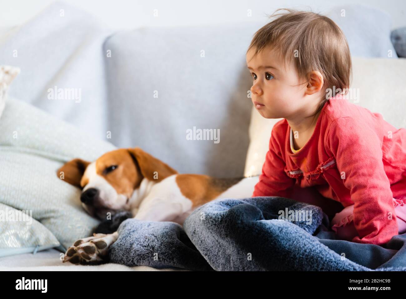 Baby with dog on sofa relaxing together Stock Photo - Alamy