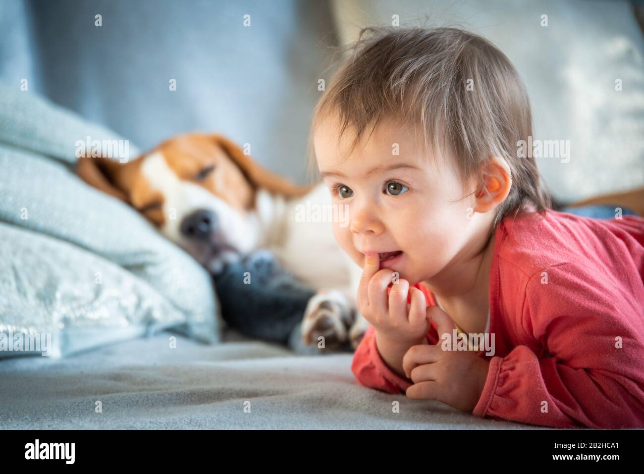 Baby with dog on sofa relaxing together Stock Photo - Alamy