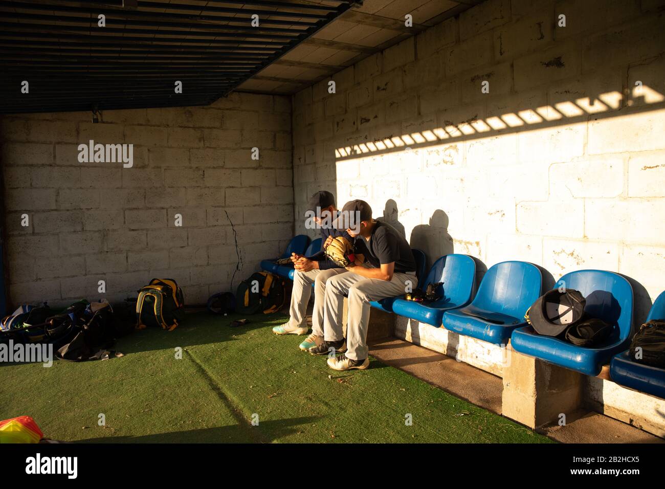 Baseball players discussing together seated on bench Stock Photo - Alamy