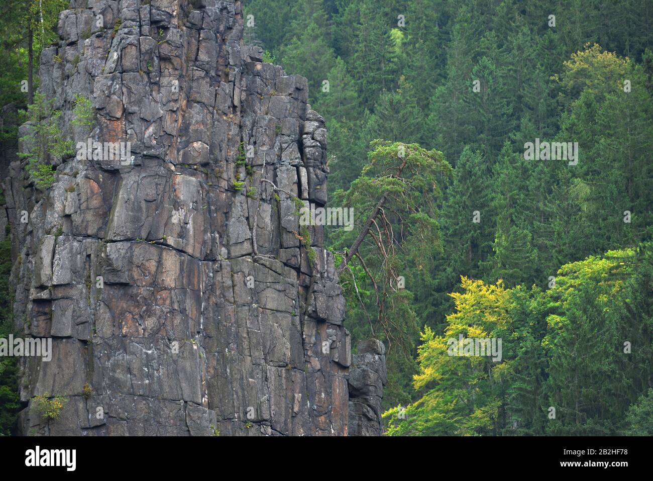 Jan svatos hi-res stock photography and images - Alamy