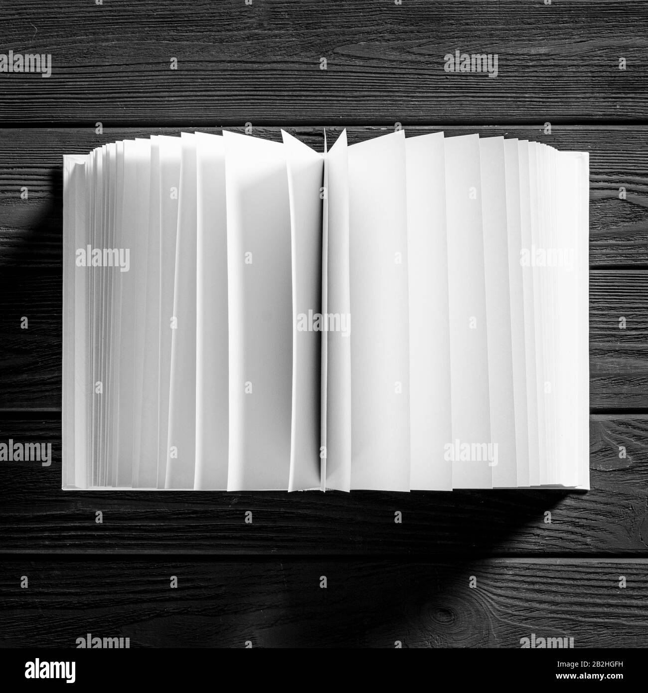 Lined book pen Black and White Stock Photos & Images - Alamy
