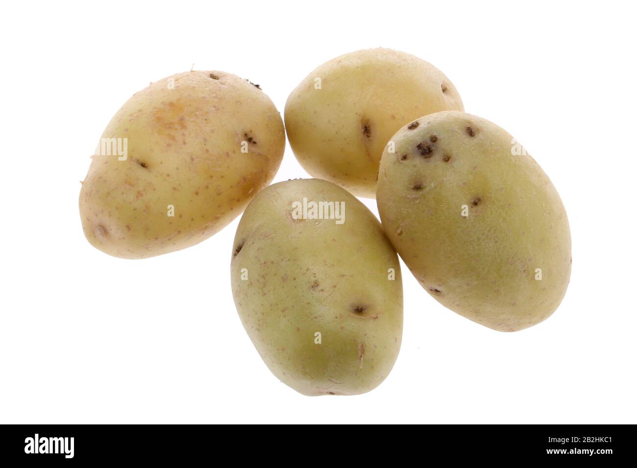Isolated Australian potatoes. Cut raw potato vegetables isolated on ...