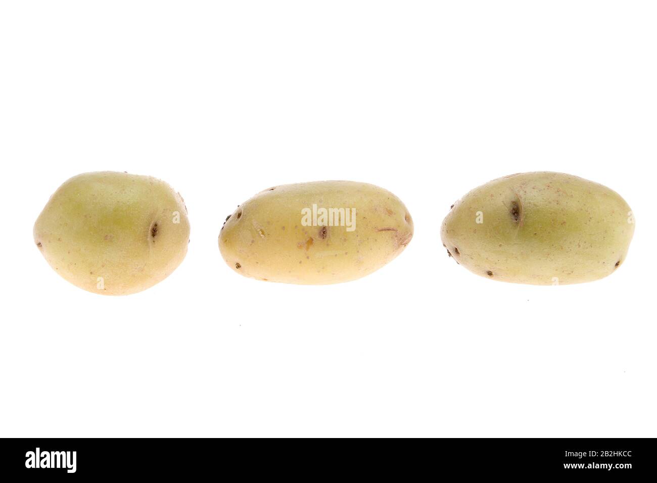Isolated Australian potatoes. Cut raw potato vegetables isolated on ...