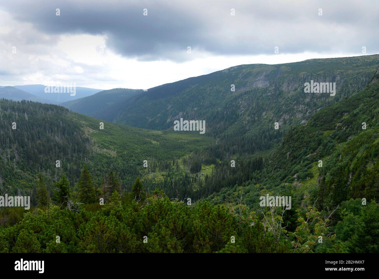 Elbtal hi-res stock photography and images - Alamy