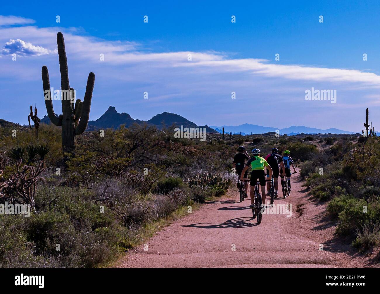 Fast Moving Group Of Mountain Bikers On a Desert Trail In Scottsdale ...