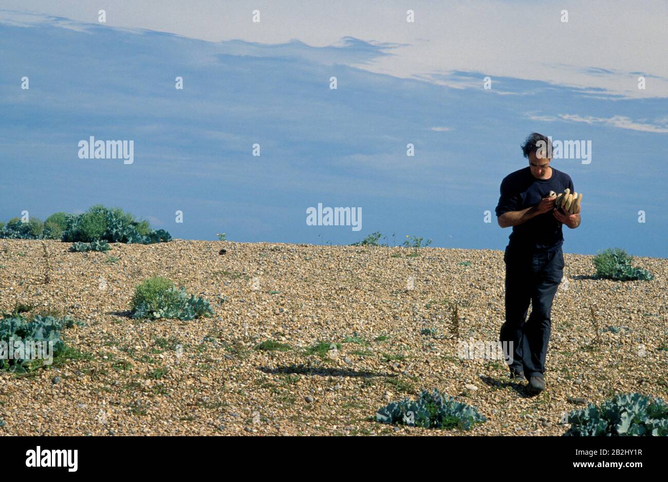 Derek jarman jubilee hi-res stock photography and images - Alamy