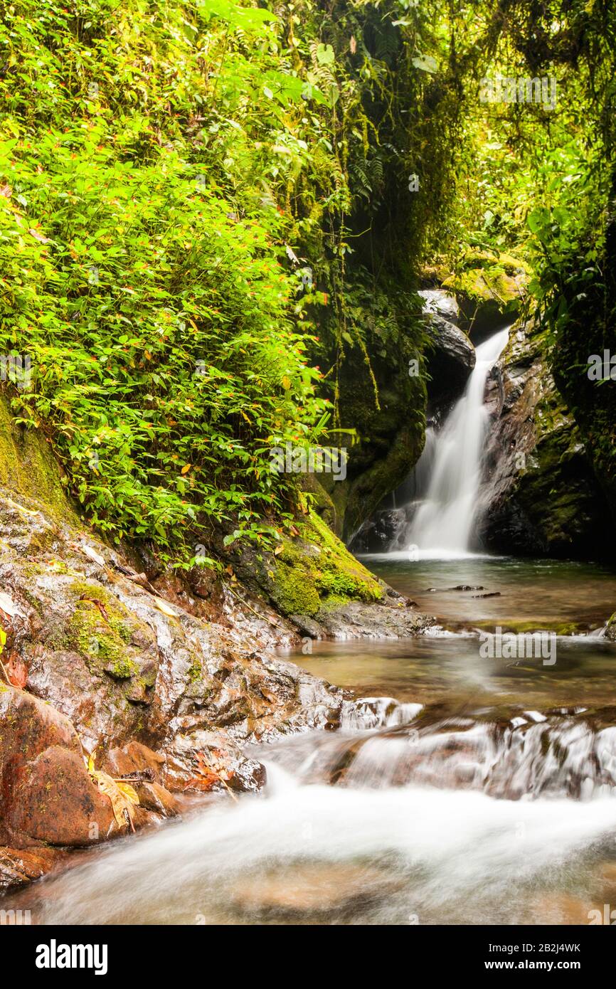 Waterfall In The Amazonian Rain Forest Stock Photo - Alamy