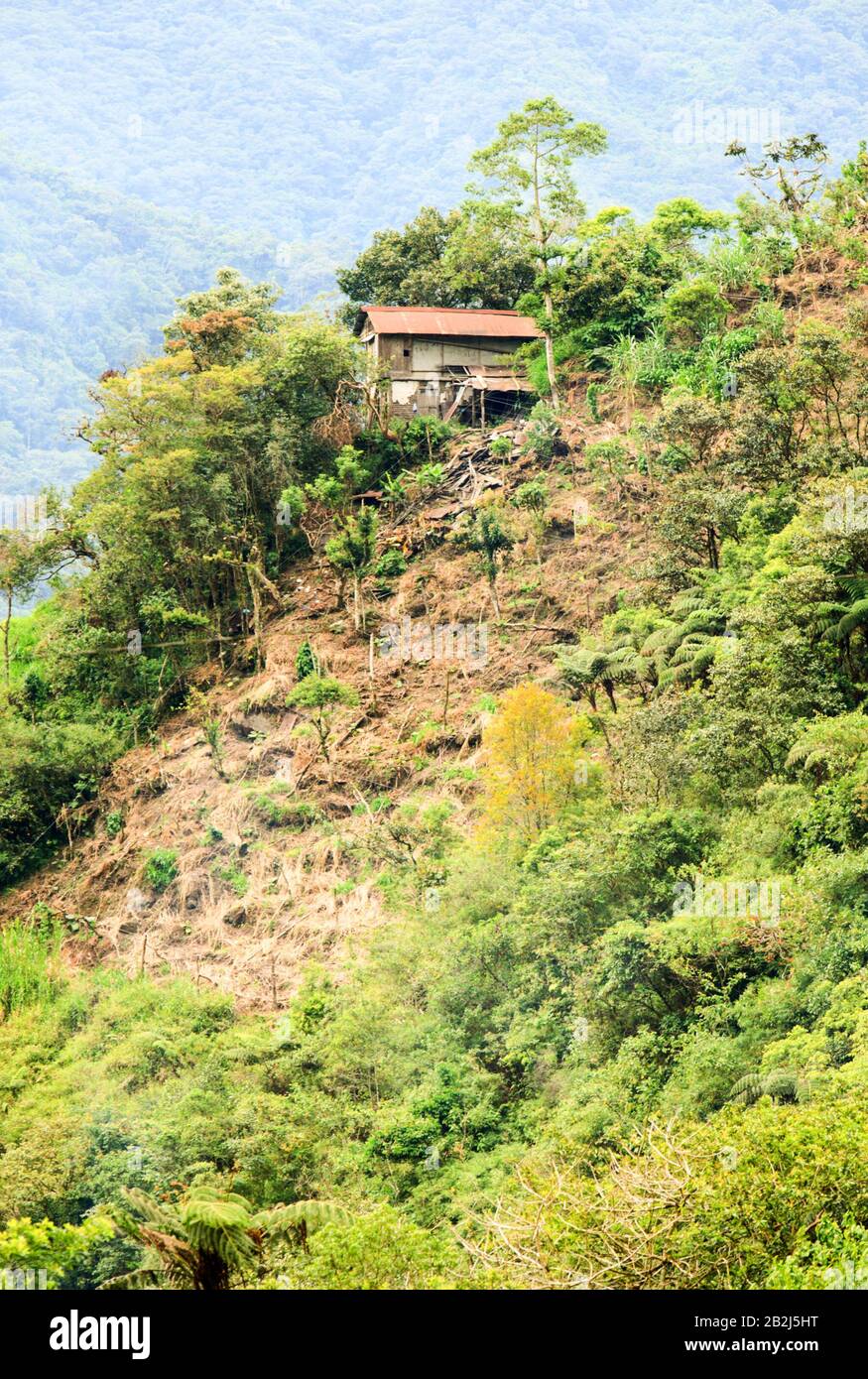 City Deforestation High Resolution Stock Photography and Images - Alamy
