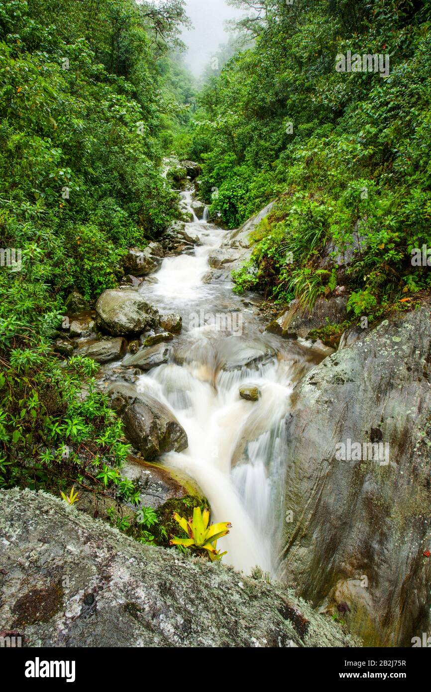 Waterfall In Machay Mountain Close To Banos Ecuador Stock Photo - Alamy