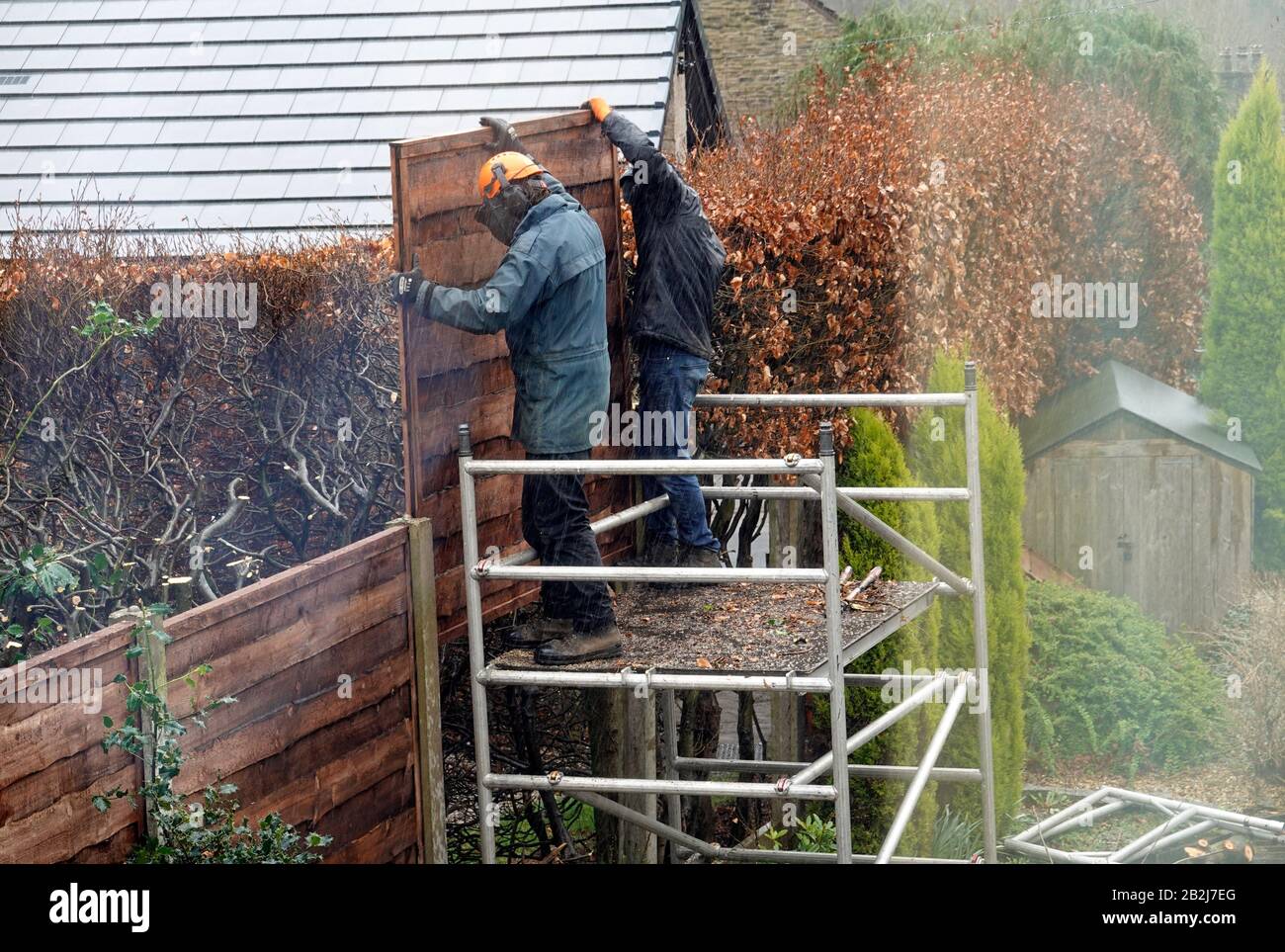 Two workmen fitting a panel into a fence Stock Photo - Alamy
