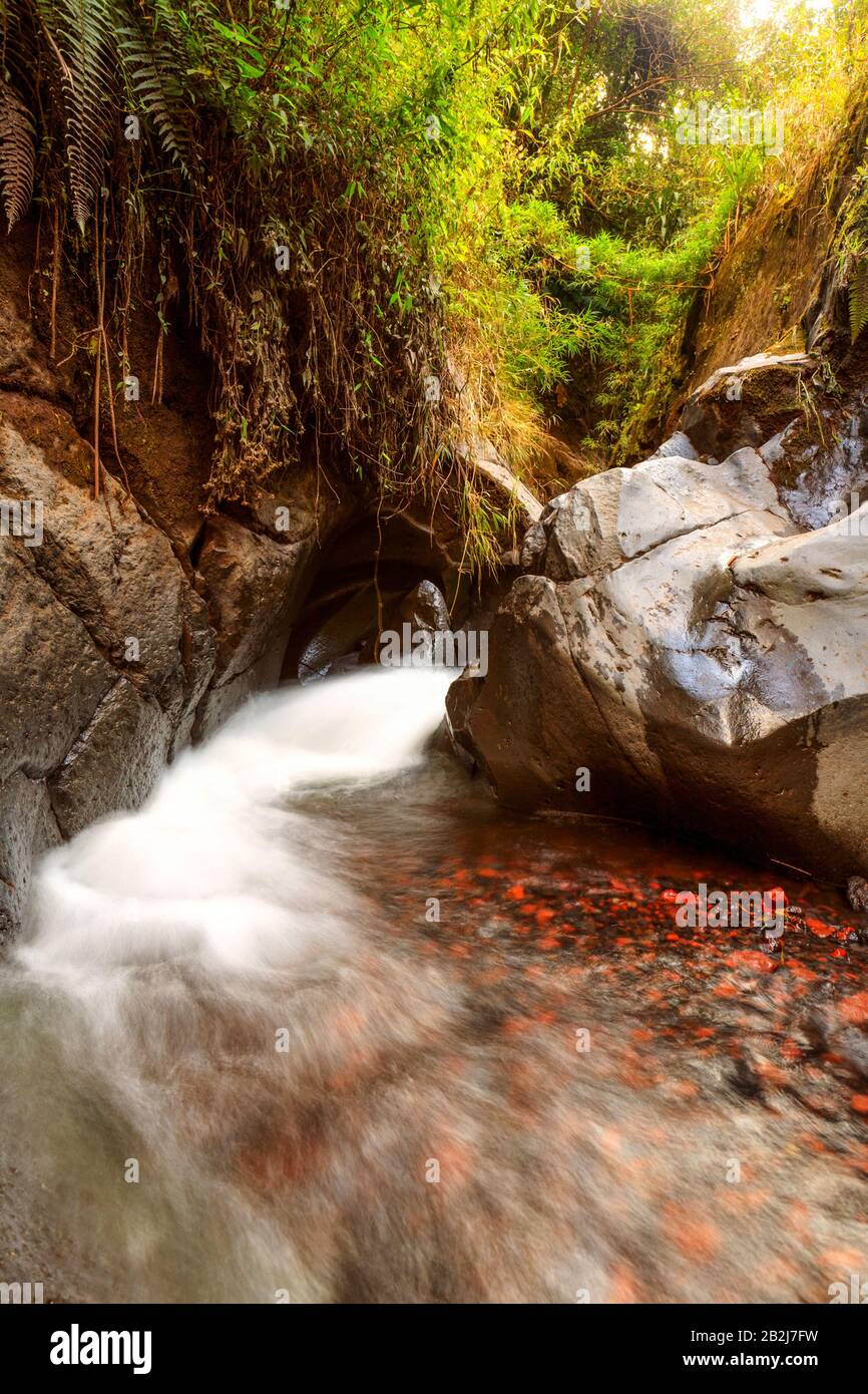 Water torrent hi-res stock photography and images - Alamy