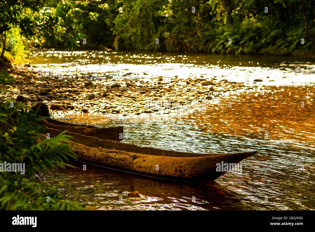 Single Tree Chopped Canoes In The Amazonian Basin Used To Transport ...