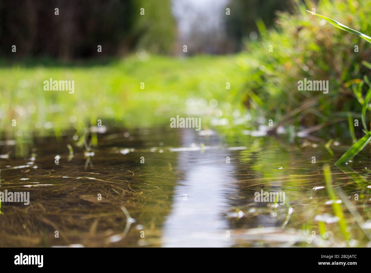 Dead blades hi-res stock photography and images - Alamy