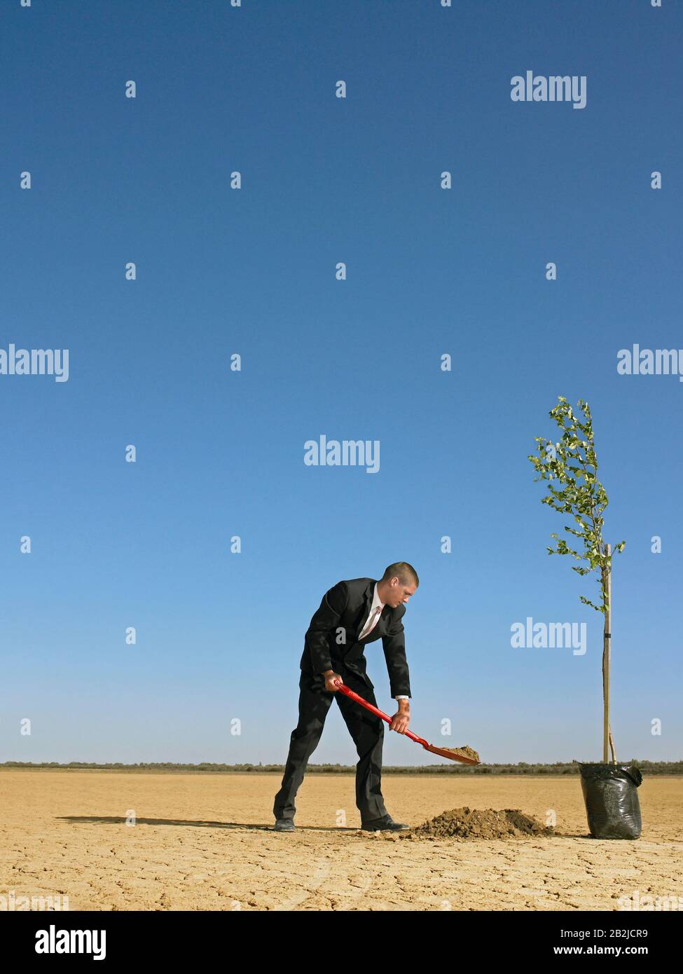 Businessman planting tree in desert full length Stock Photo - Alamy