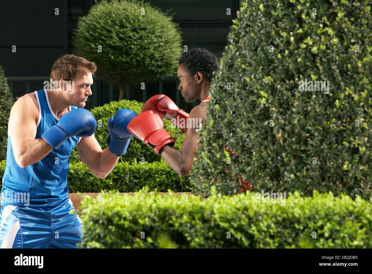 Boxers arms hi-res stock photography and images - Alamy