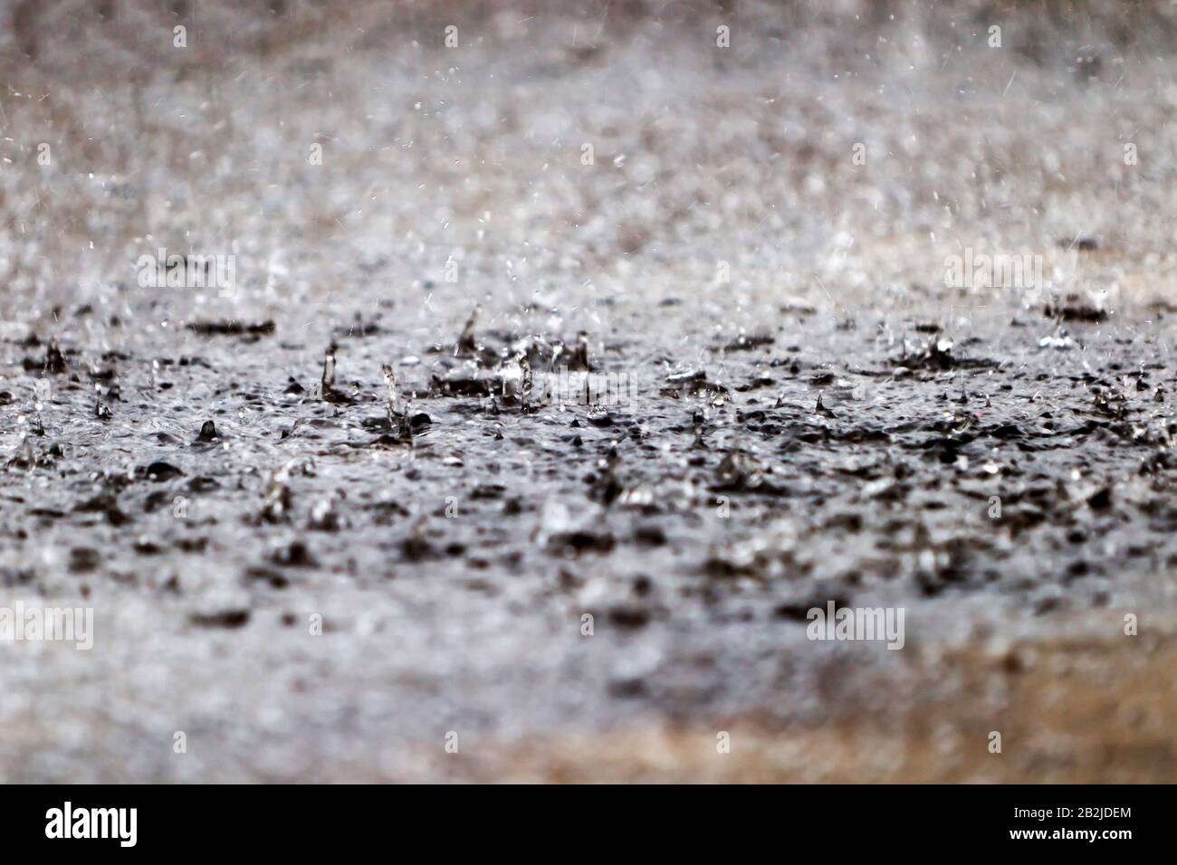 Raindrops Falling On The Ground Hd