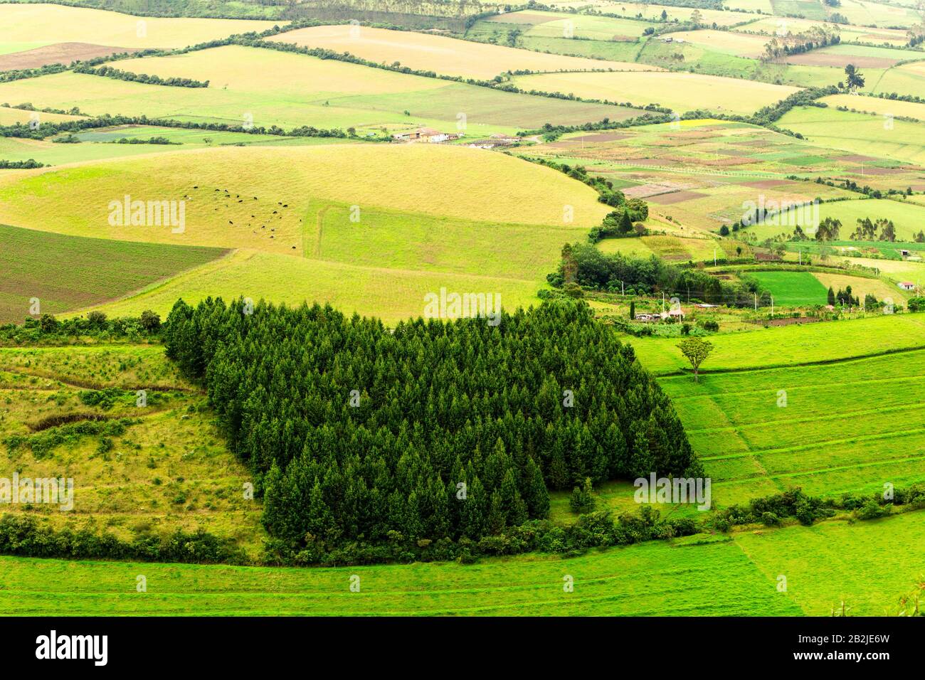 Altitude farming hi-res stock photography and images - Alamy