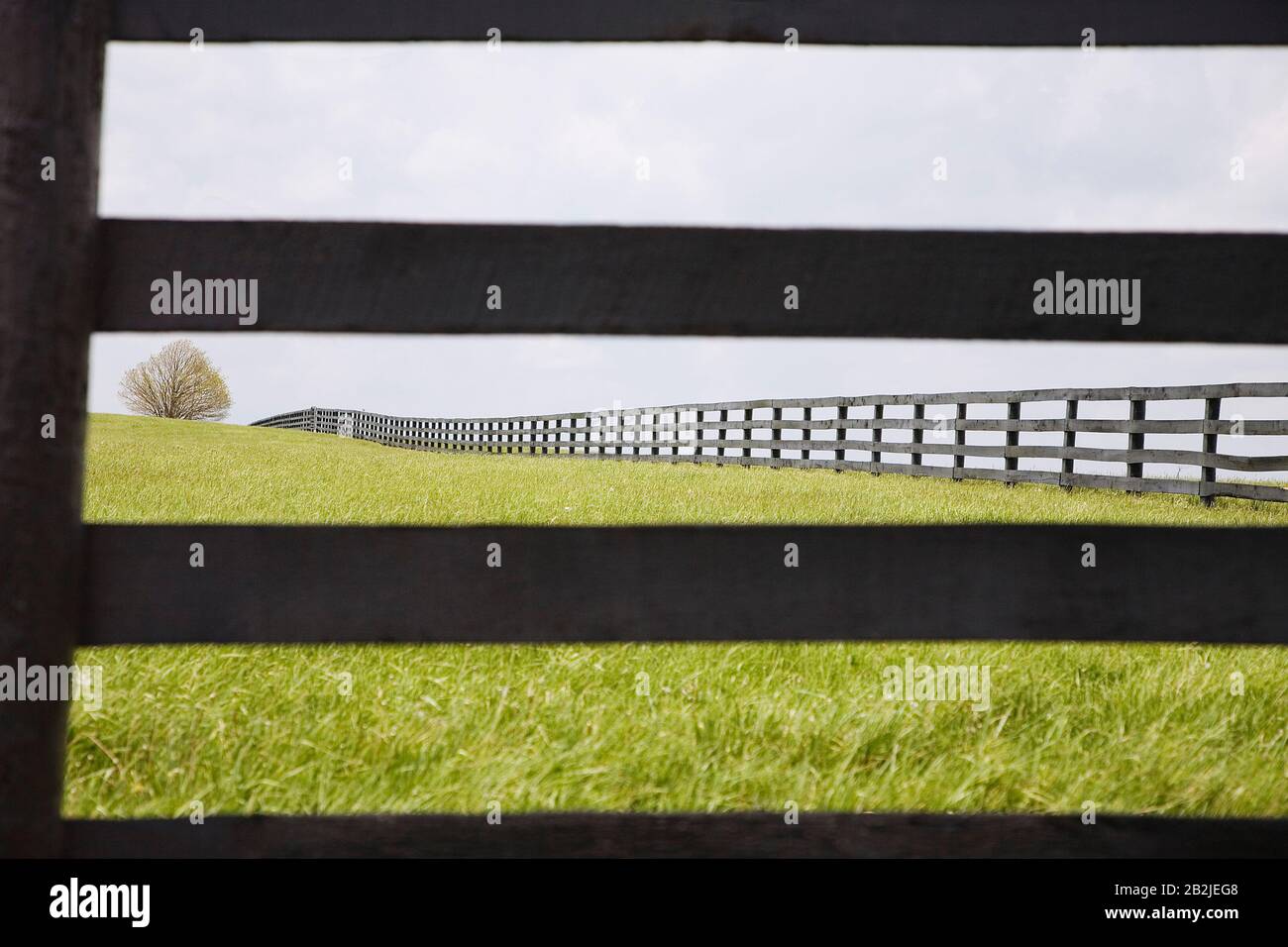 Fence dividing fields in countryside Stock Photo - Alamy