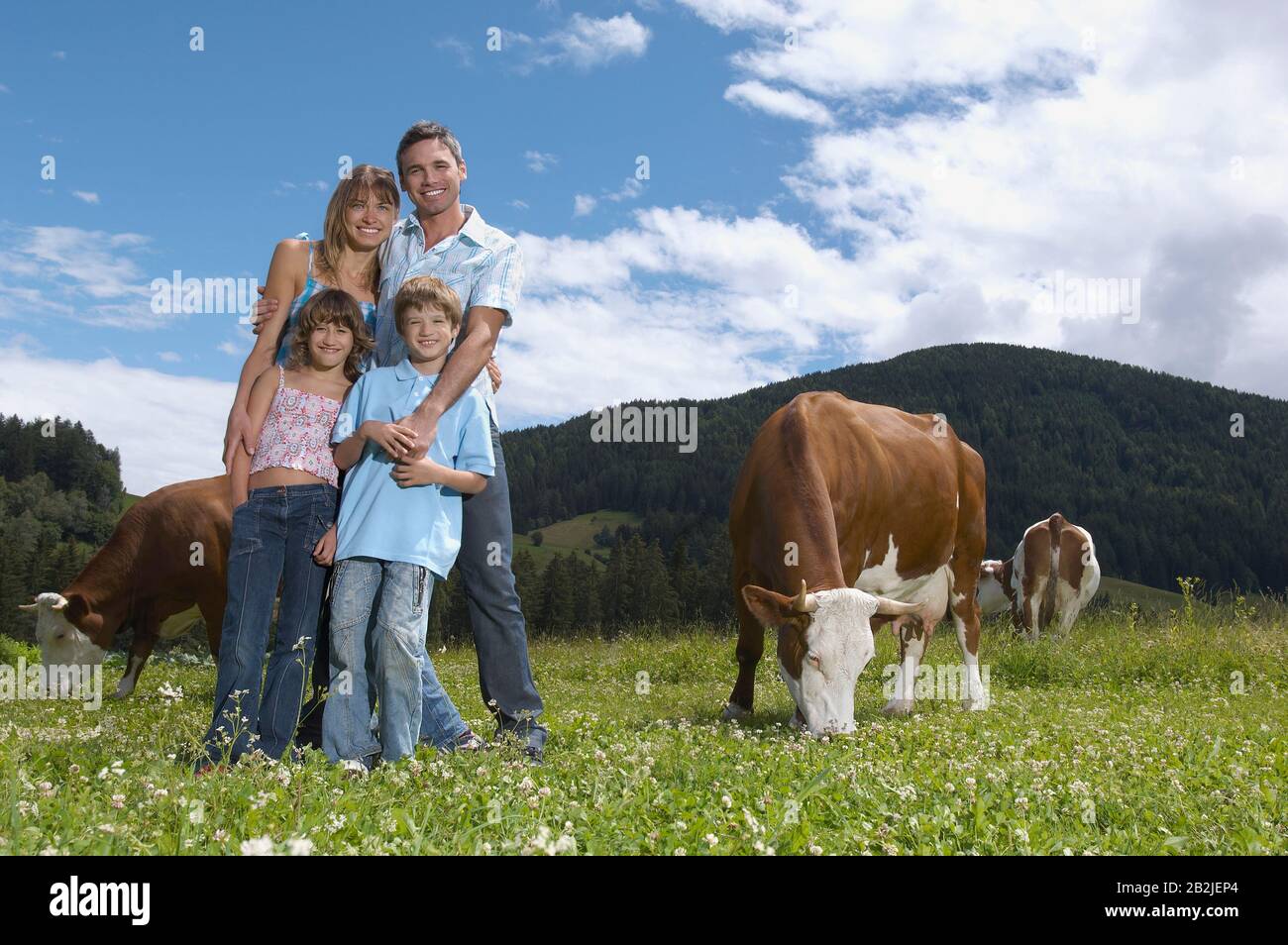 Parents with children (7-9) embracing in field with cows portrait Stock ...