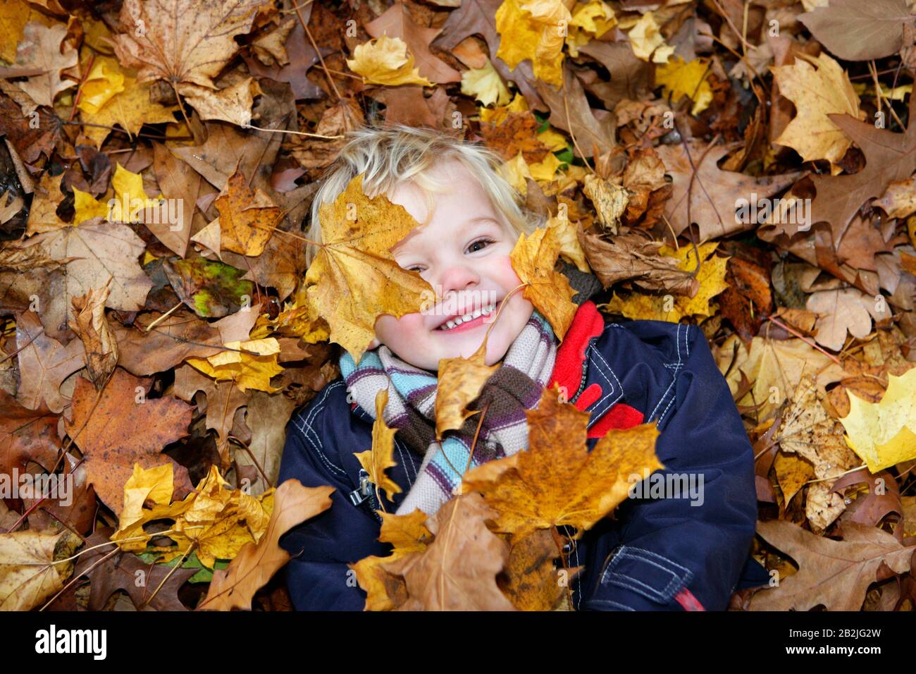Child looking at ground leaves hi-res stock photography and images - Alamy