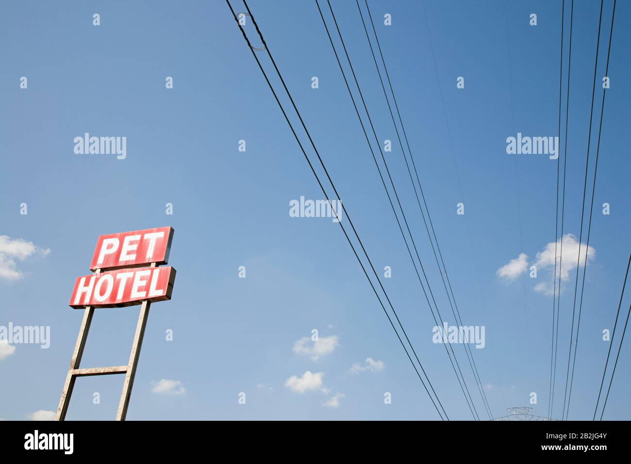 Pet hotel hi-res stock photography and images - Alamy