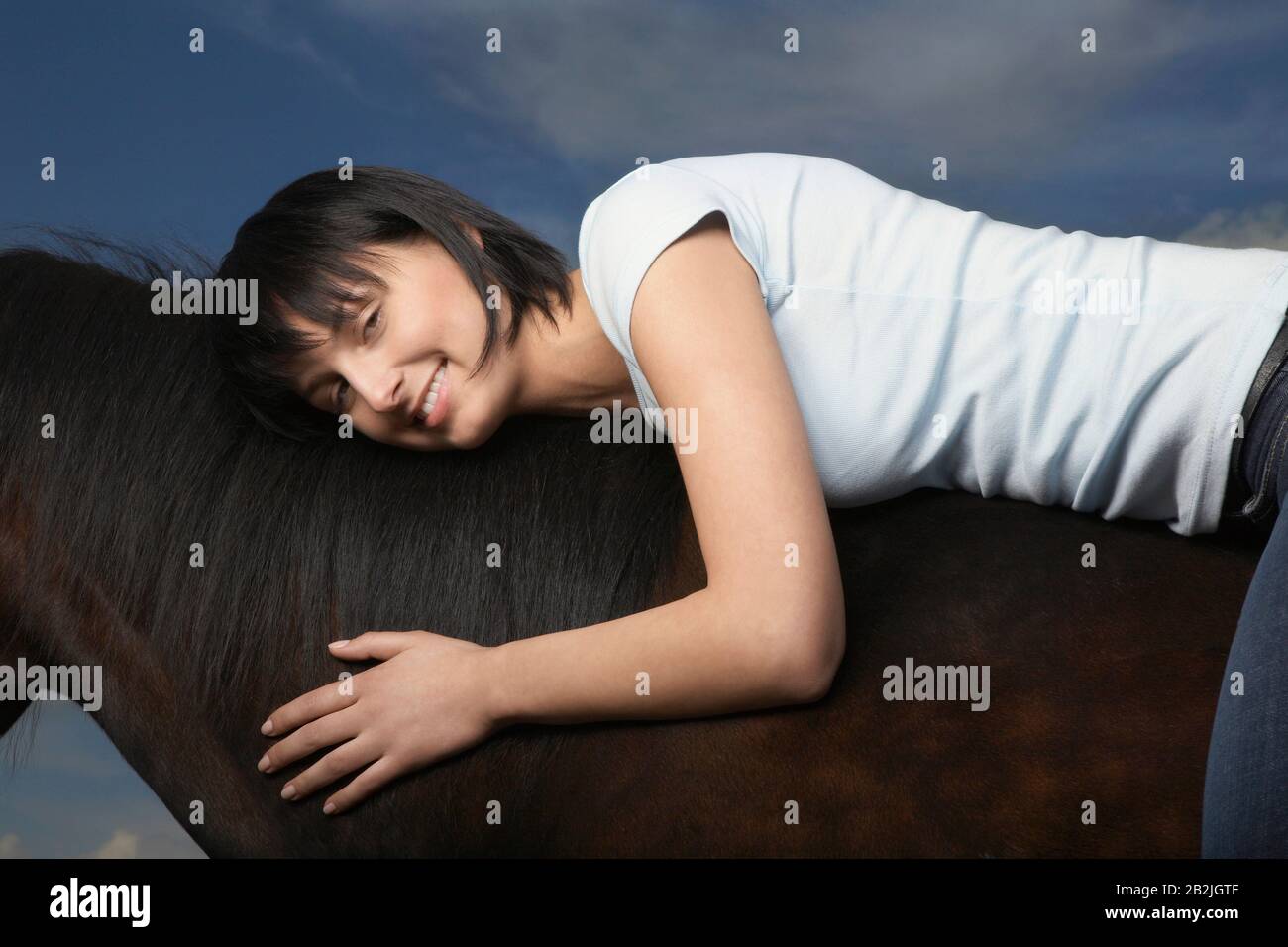 Horse laying on back hi-res stock photography and images - Alamy