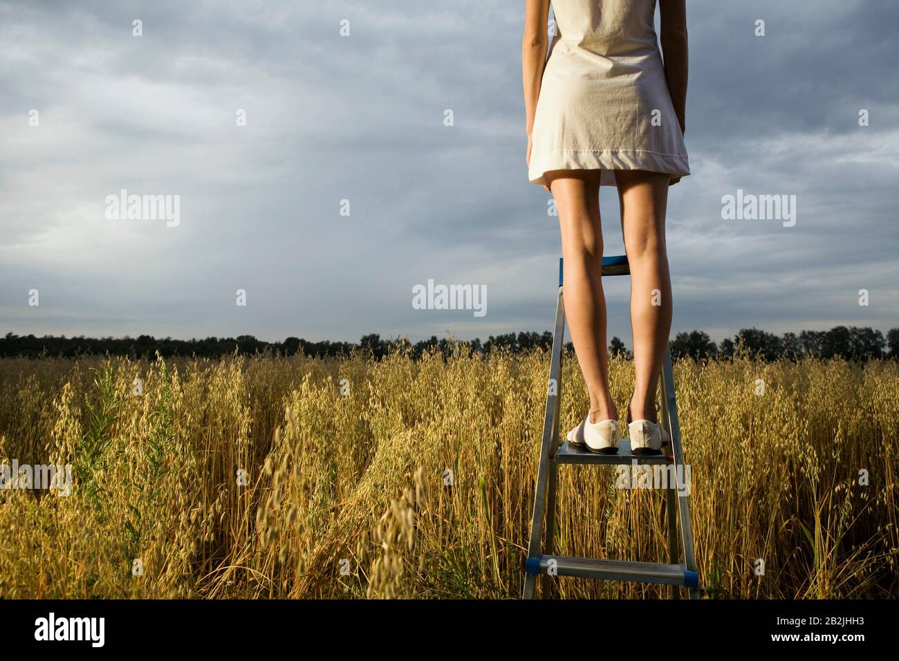 Quirky ladder hi-res stock photography and images - Alamy