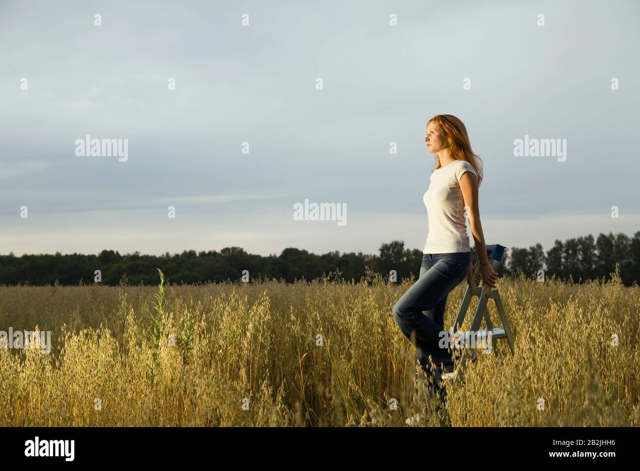 Quirky ladder hi-res stock photography and images - Alamy